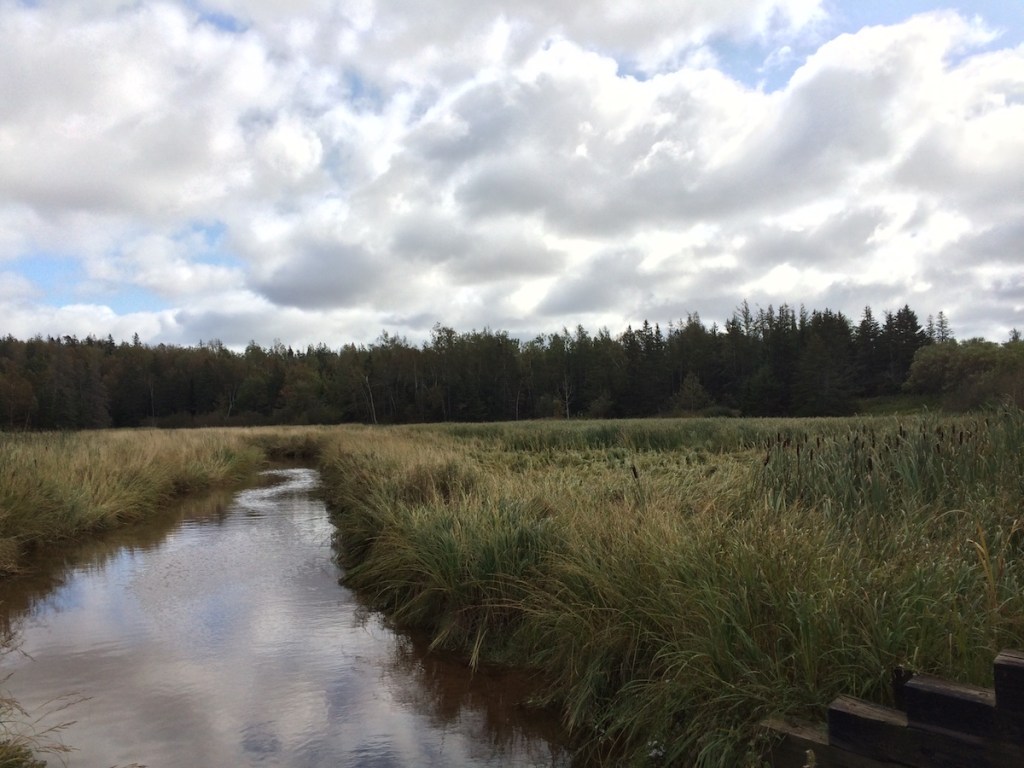 Coalition for the Protection of PEI Water